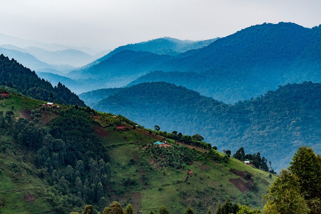 Udforsk Ugandas natur I Safari, gorillatrekking, vandring og sejlads
